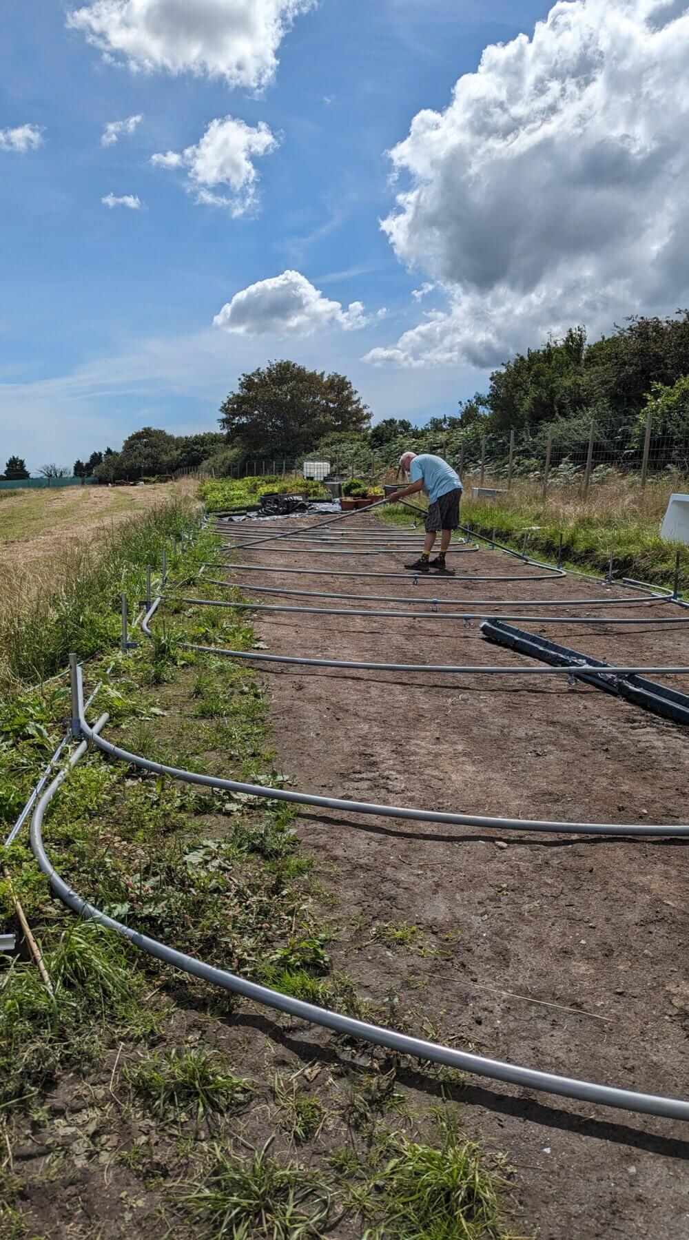 Emmaus Community Tree Nursery - Emmaus Cornwall