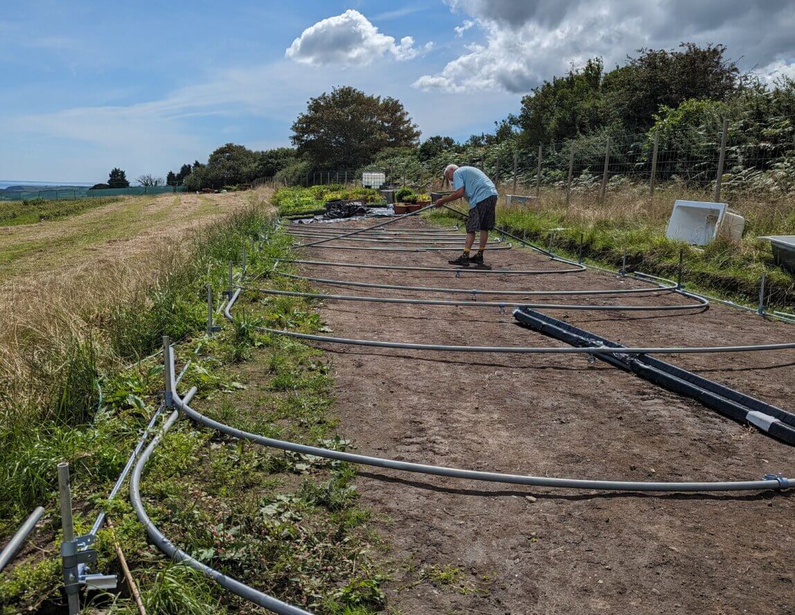 Emmaus Community Tree Nursery - Emmaus Cornwall
