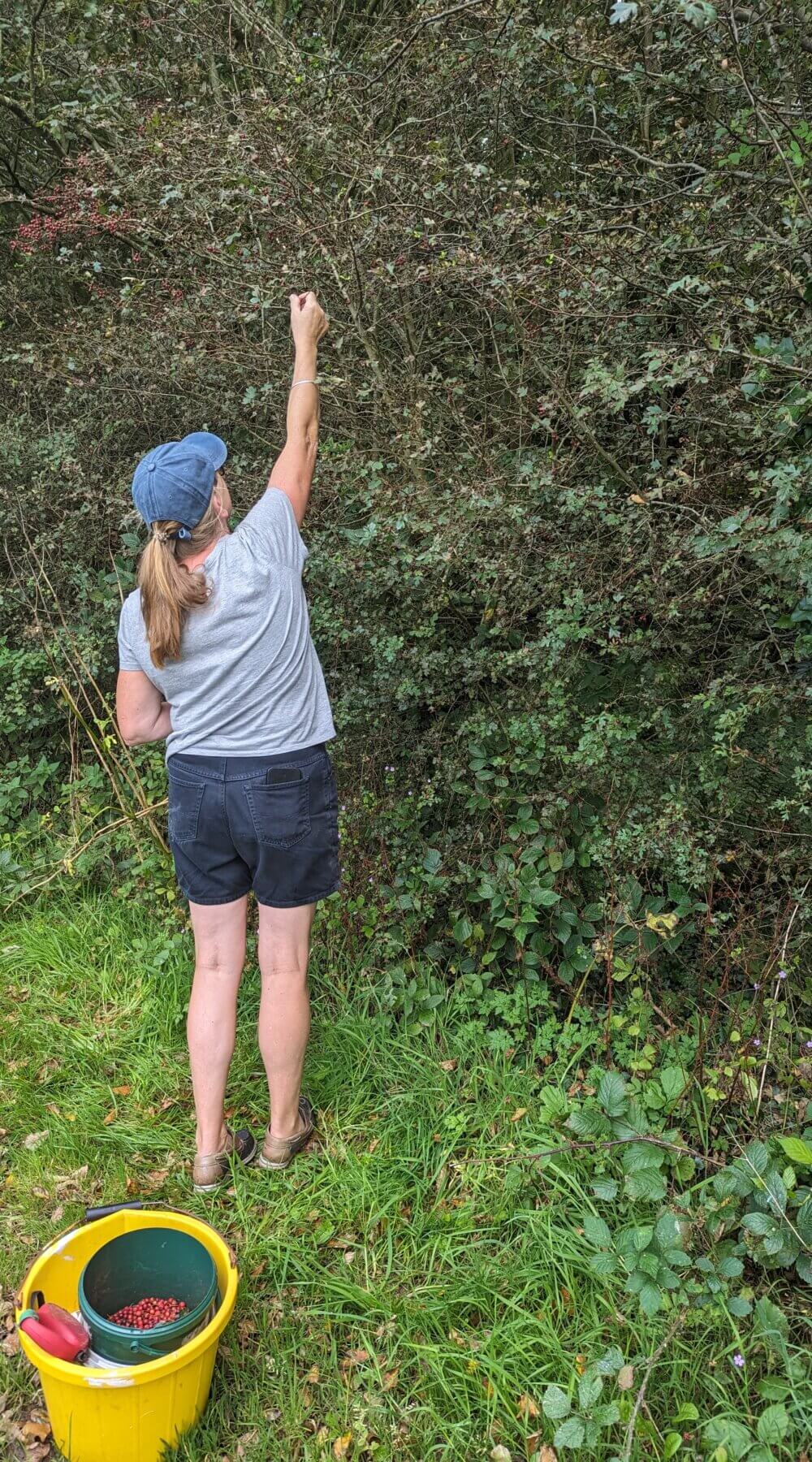 Emmaus Community Tree Nursery - Emmaus Cornwall