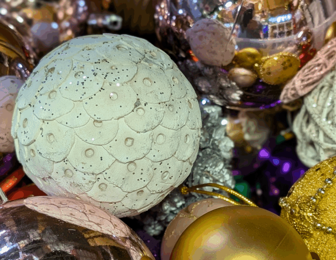 Emmaus Dover - Homelessness Charity - Home Page