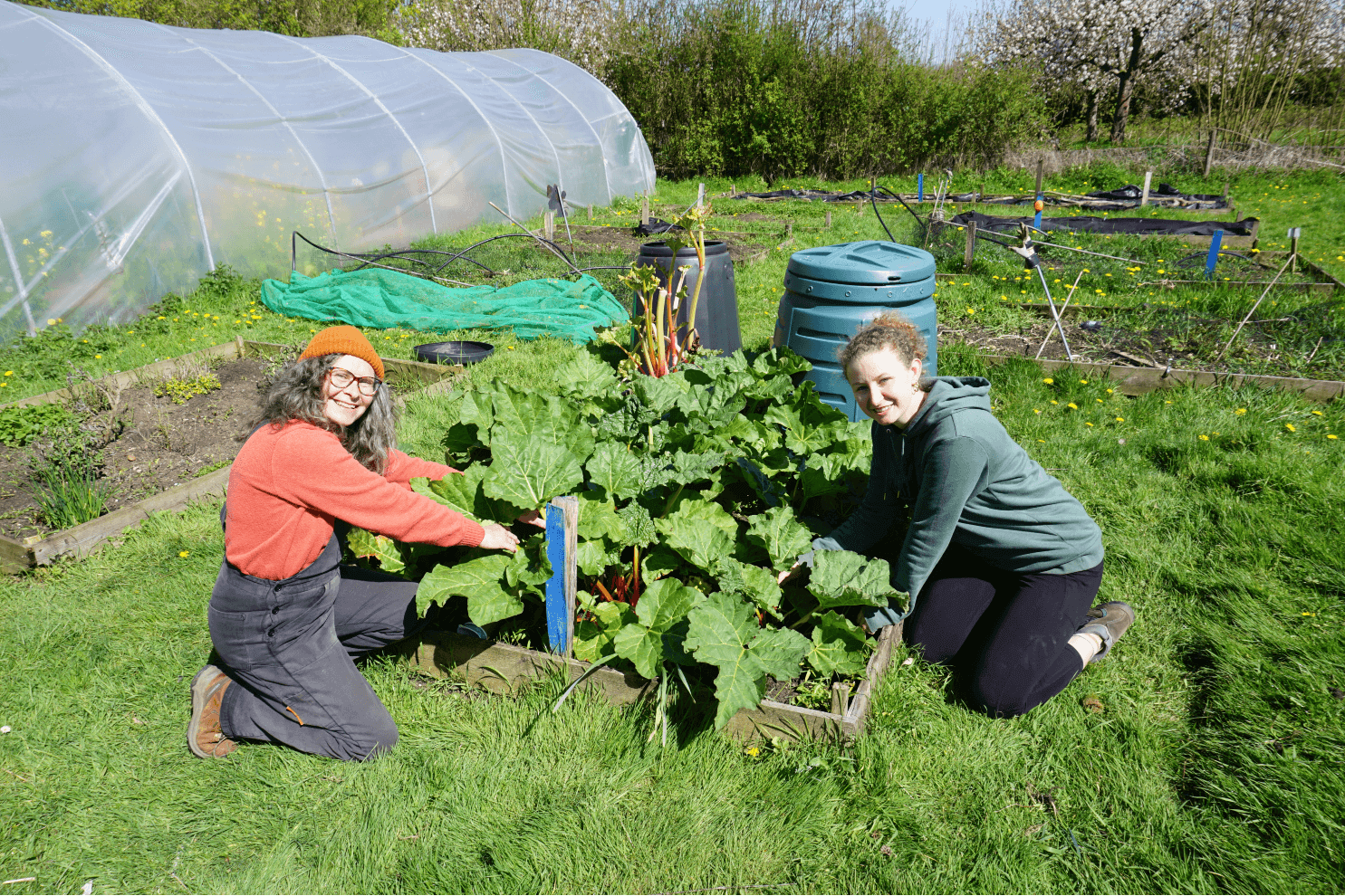 Green-fingered volunteers needed for our garden rejuvenation project ...